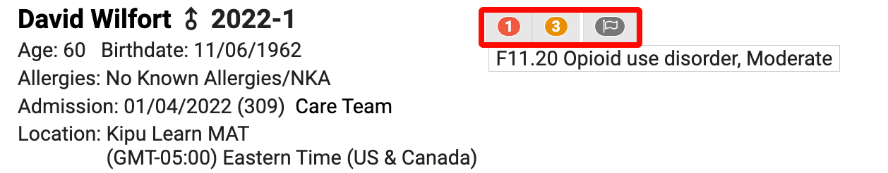 MAT Flags – Kipu Health