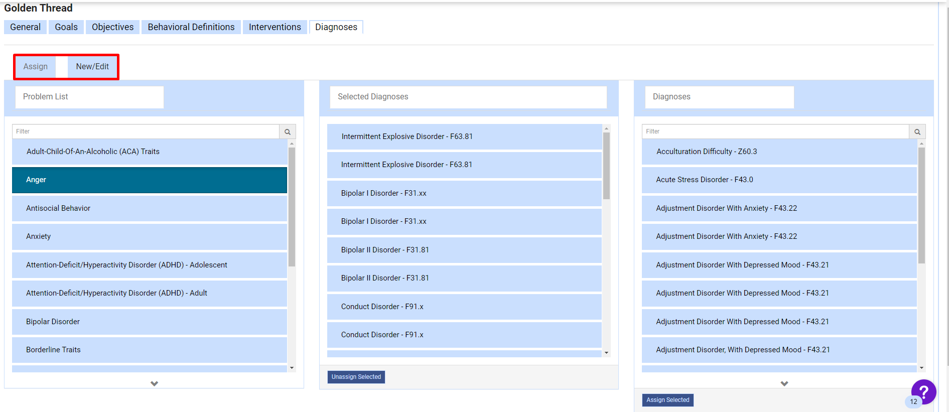 How Do I Add a New Problem to the Golden Thread Problem List? – Kipu Health