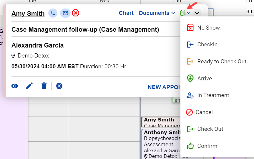 Appointment Card Overview – Kipu Health