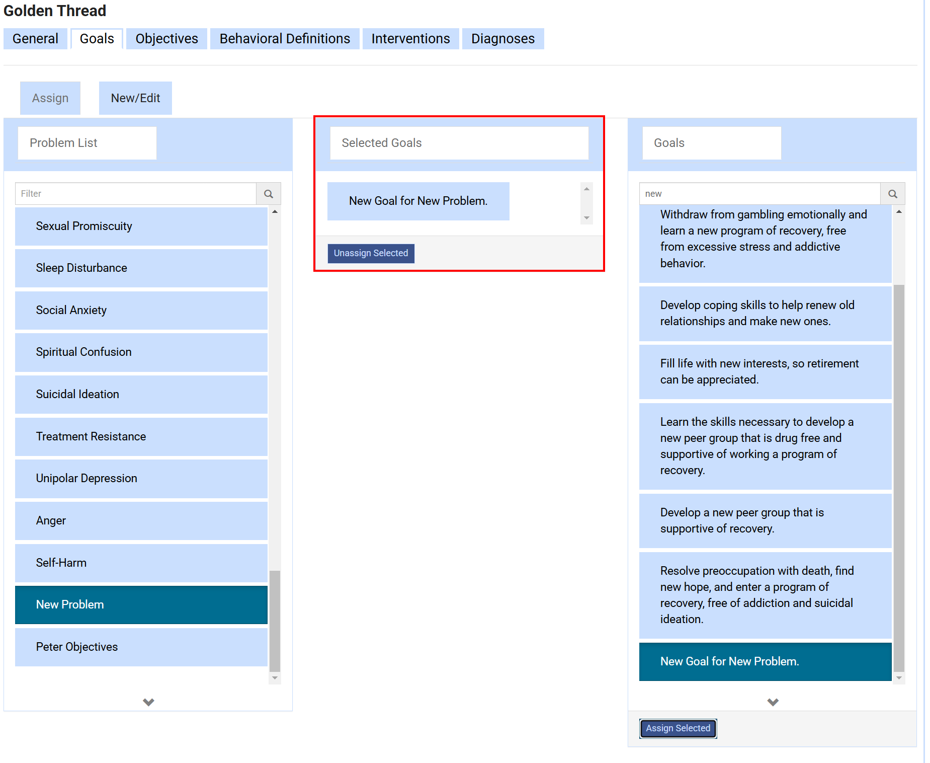 How Do I Add a New Problem to My Problem List on the Golden Thread ...