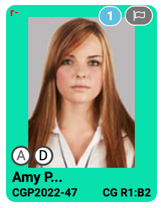 Patient Flags – Kipu Health