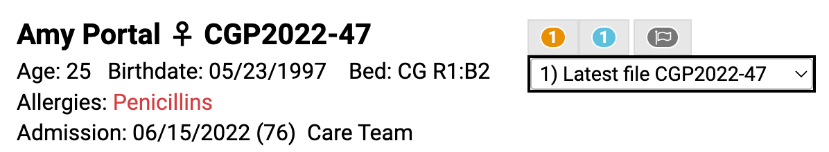 Patient Flags – Kipu Health