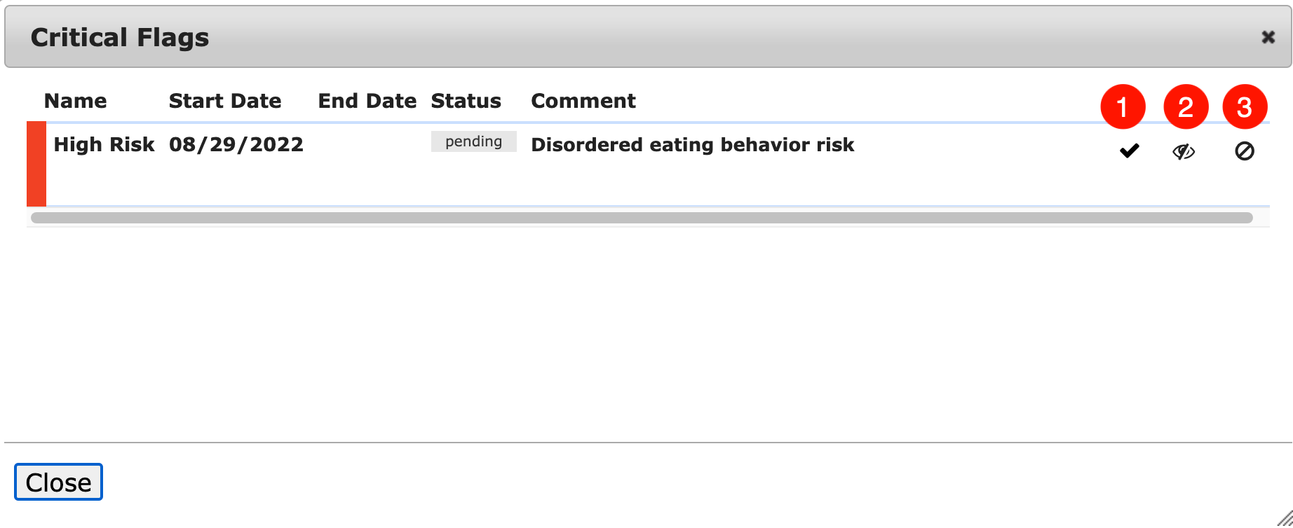 Patient Flags – Kipu Health