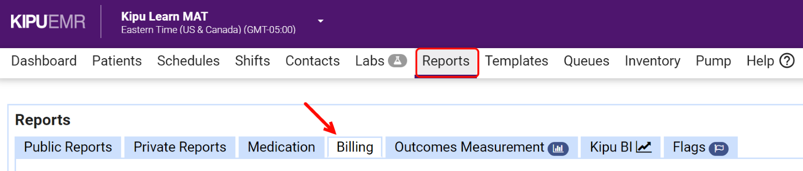 Patient Ledger Report – Kipu Health