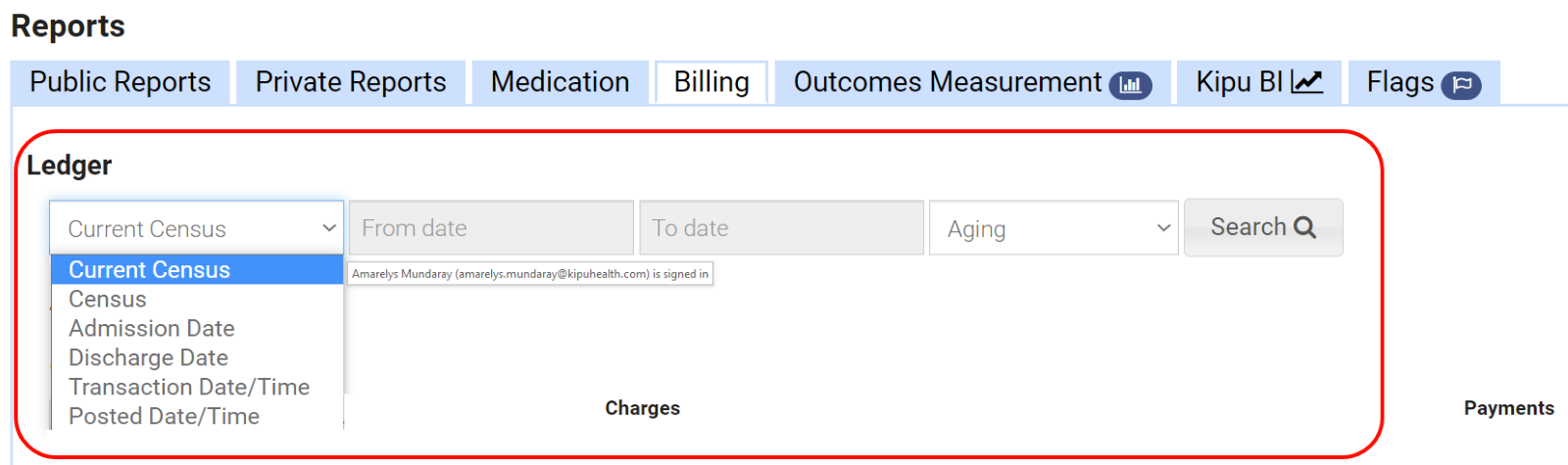 Patient Ledger Report – Kipu Health